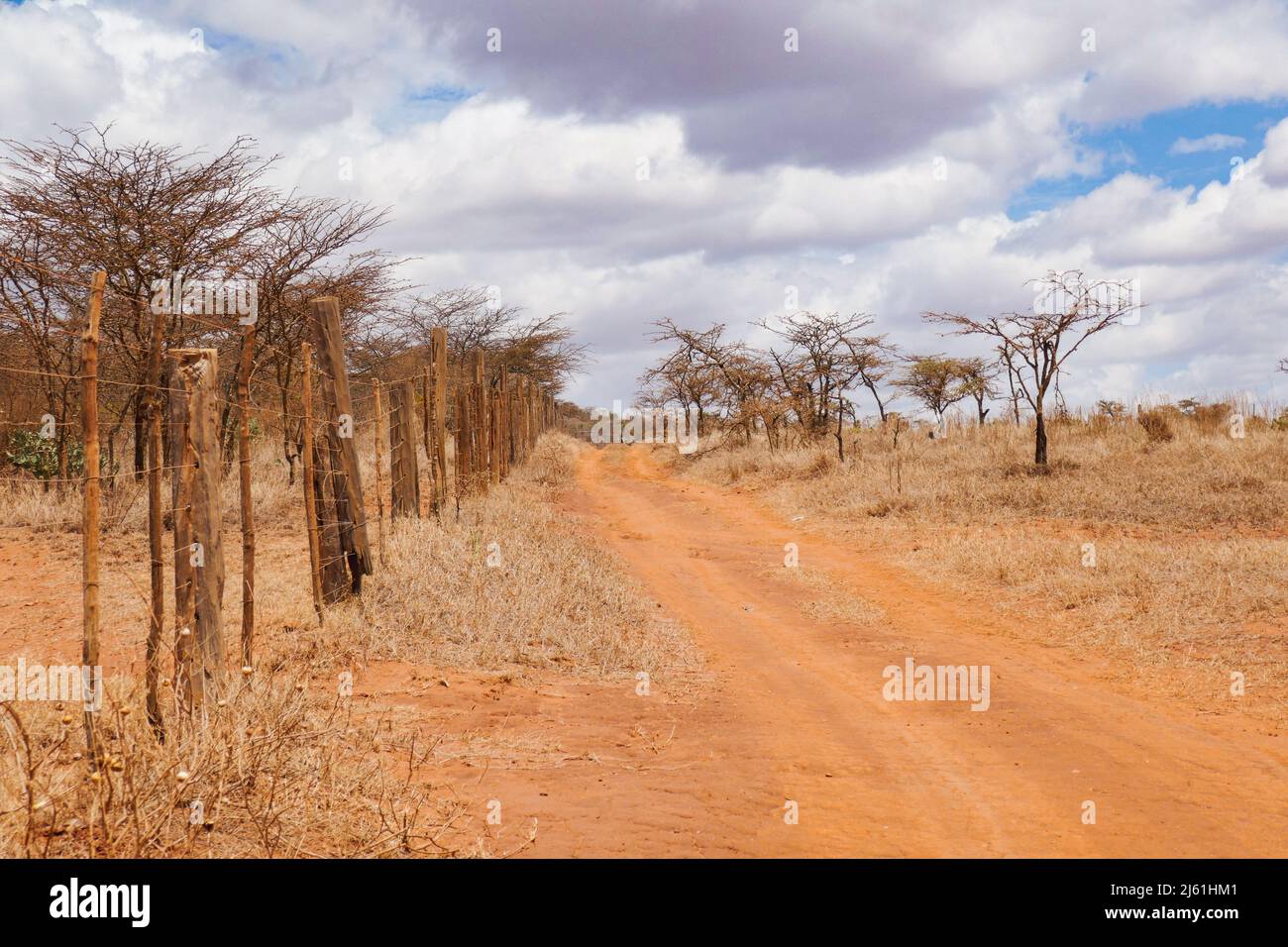 An empty dirt road in the arid landscapes of Nanyuki, Kenya Stock Photo ...
