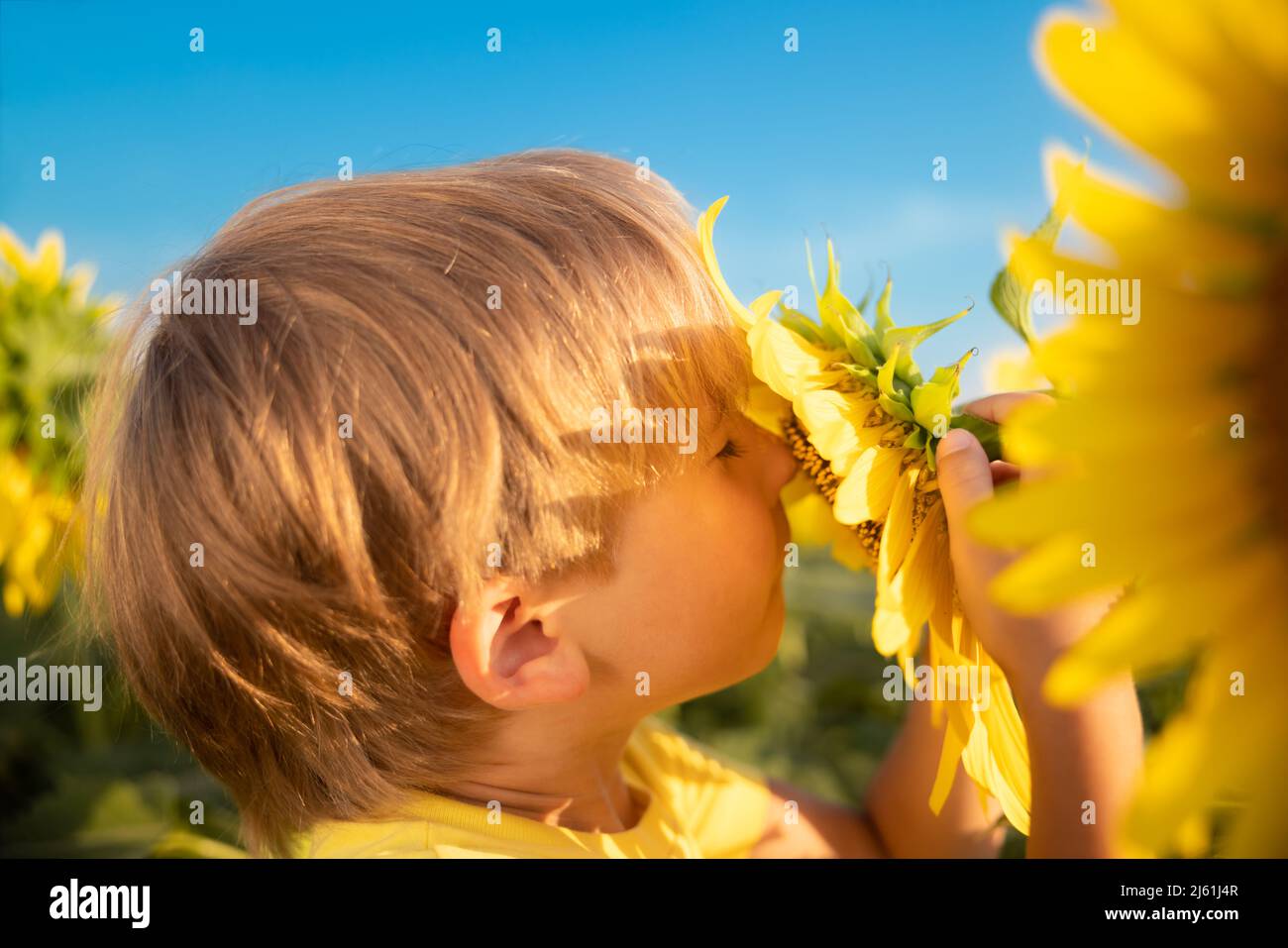 Happy child having fun in spring field of sunflowers. Outdoor portrait ...