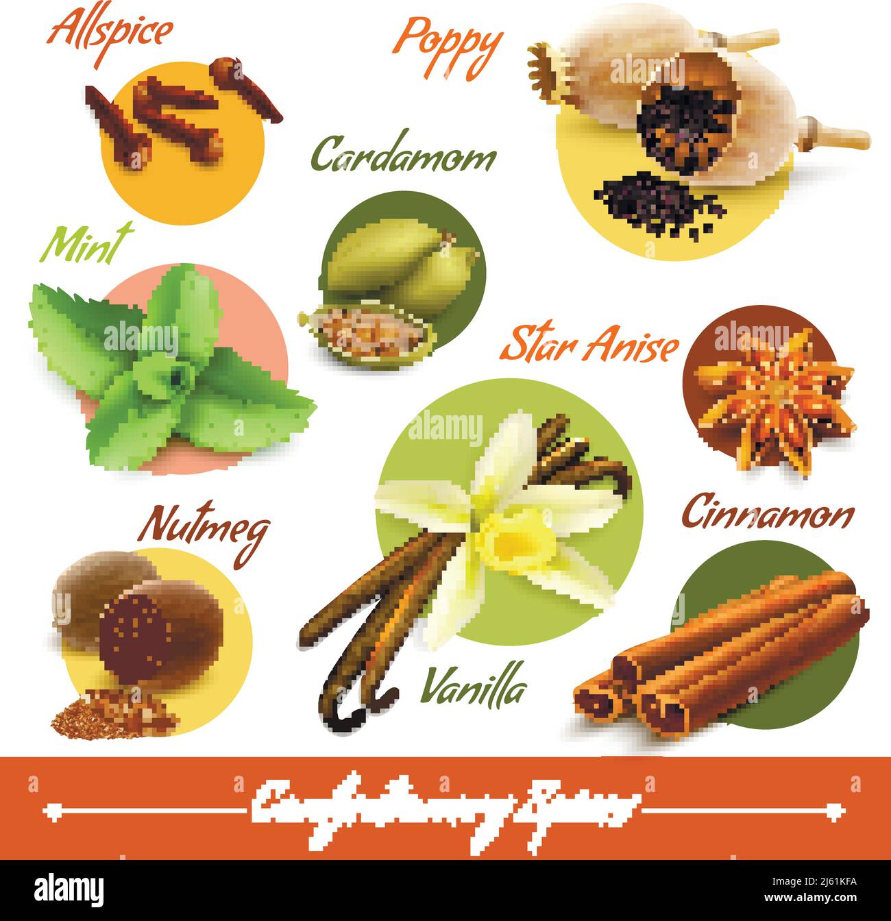 Spices decorative icons set of poppy cardamom nutmeg vanilla isolated ...