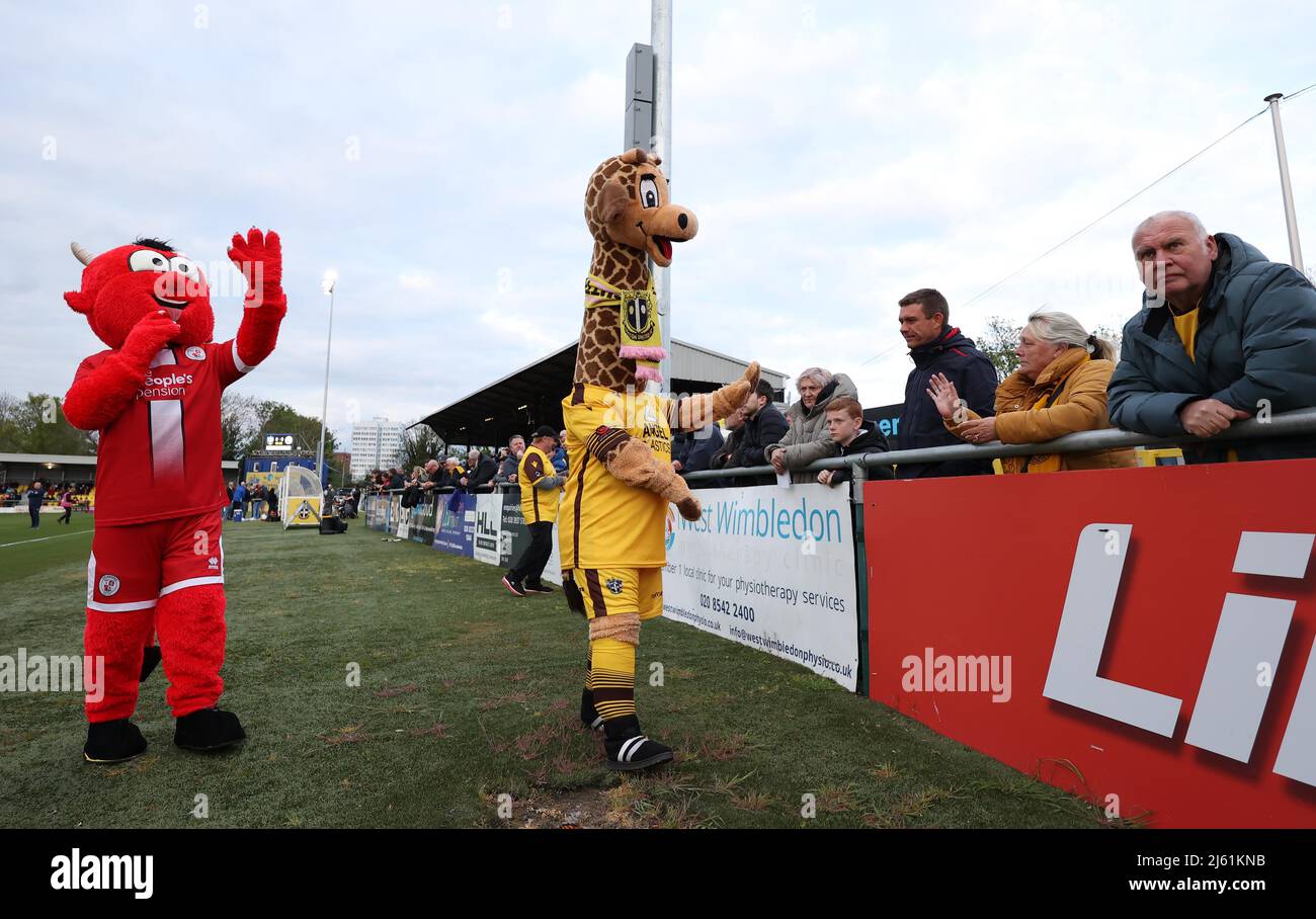 Crawley football reggie hi-res stock photography and images - Alamy