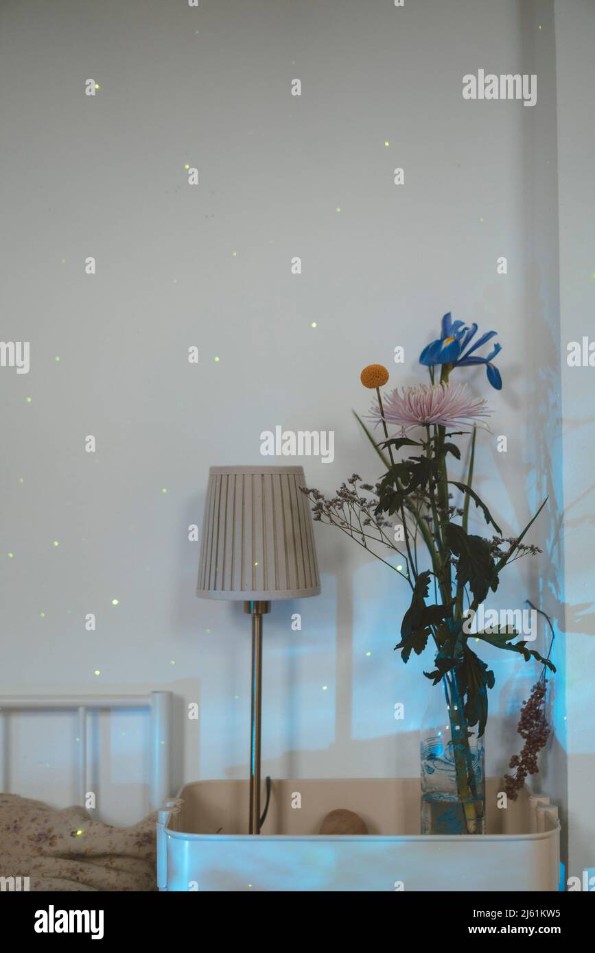 Astro light effect falling on lamp and flower vase at home Stock Photo ...