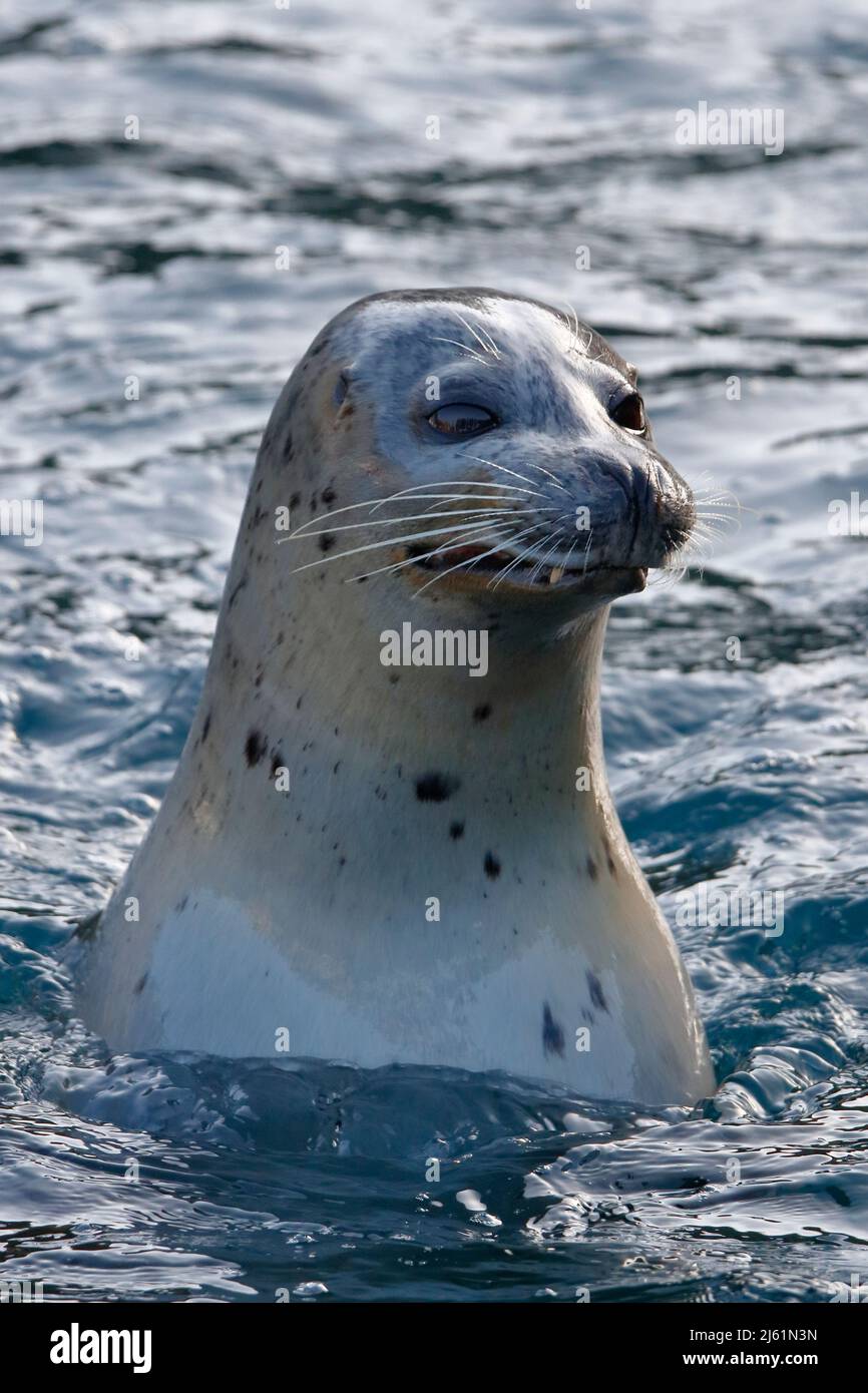 Ominously hi-res stock photography and images - Alamy