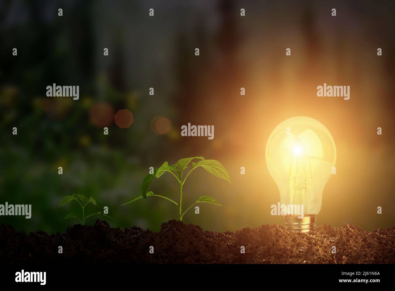 Bulb green energy concept. Growth plant with eco light nature ...