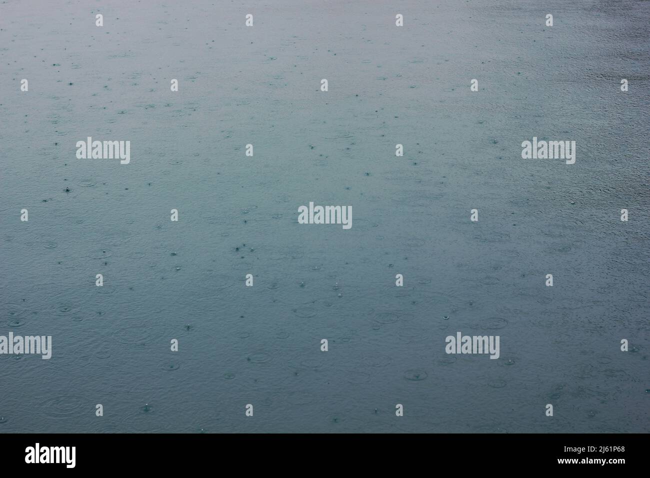 Raindrops falling on the surface of the lake during rainy weather Stock ...