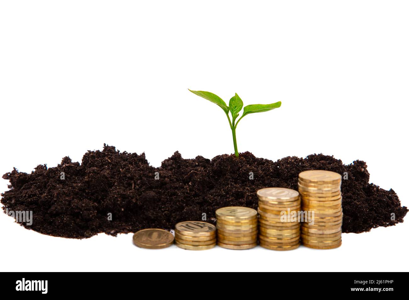 The concept of financial growth. A sprout sprouted from the ground and ...