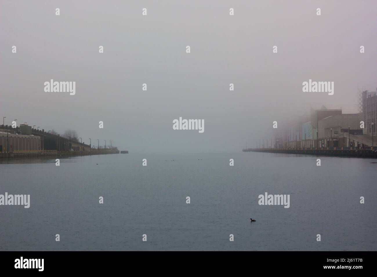 Waterfront pier in very heavy fog on the shoreline Stock Photo - Alamy