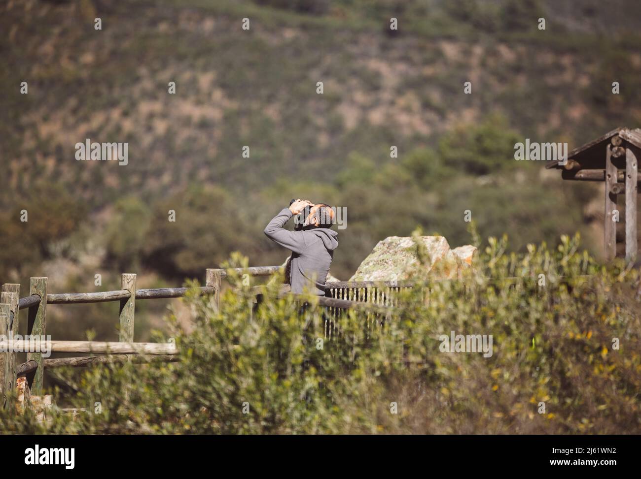 Bird watching scene hi-res stock photography and images - Alamy
