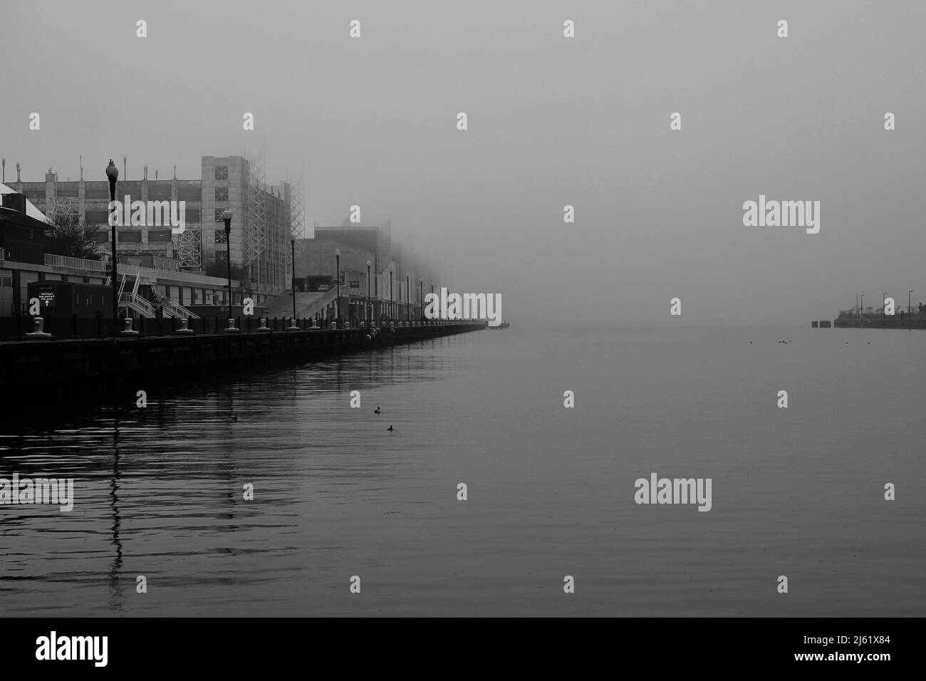 Waterfront pier in very heavy fog on the shoreline Stock Photo - Alamy