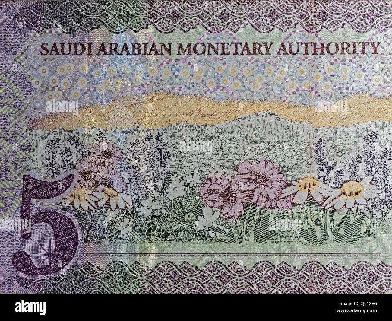 Saudi banknote hi-res stock photography and images - Alamy