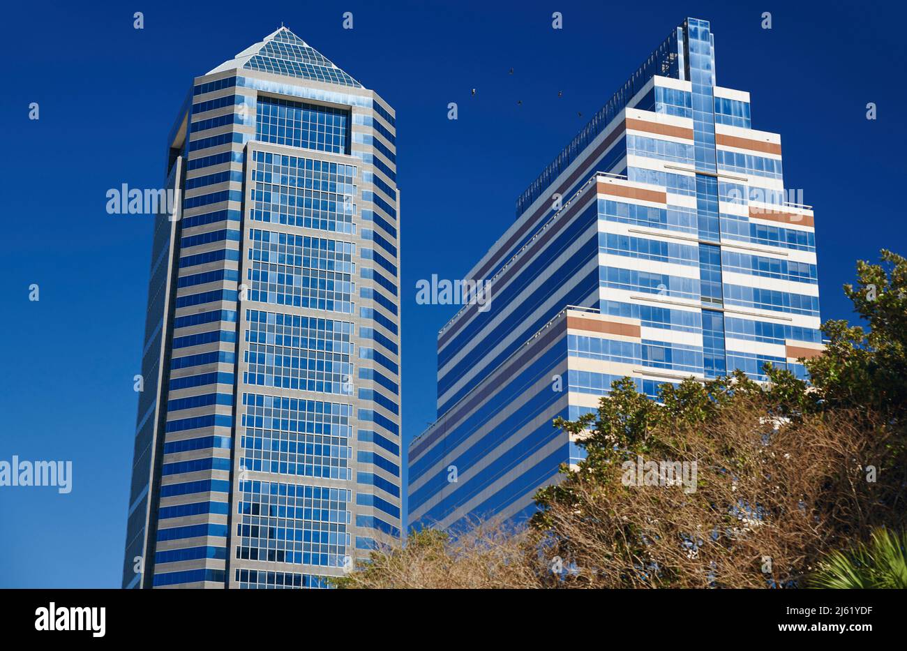Office buildings tree hi-res stock photography and images - Alamy