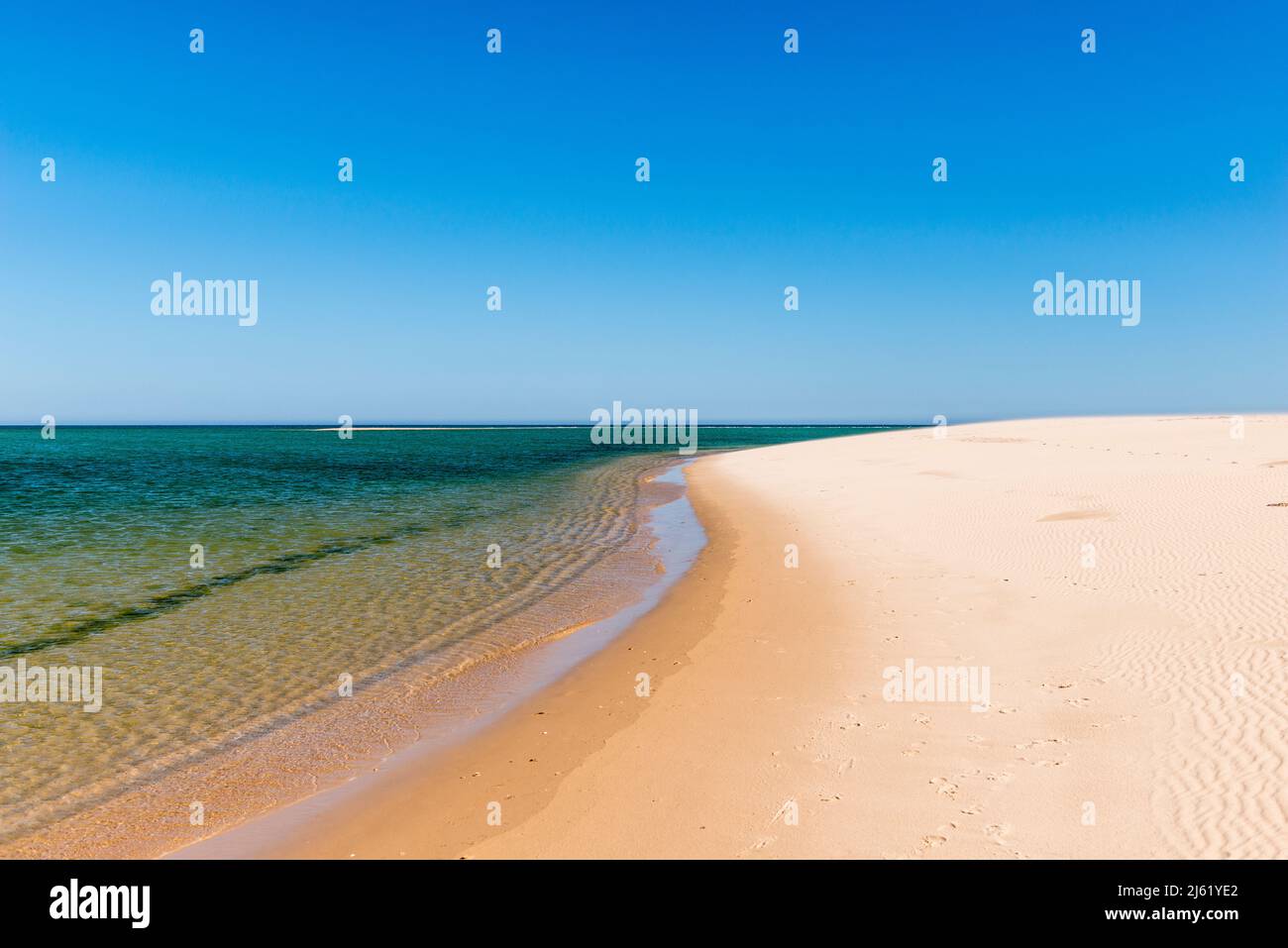 Clear sky over sandy beach of Culatra Island Stock Photo - Alamy