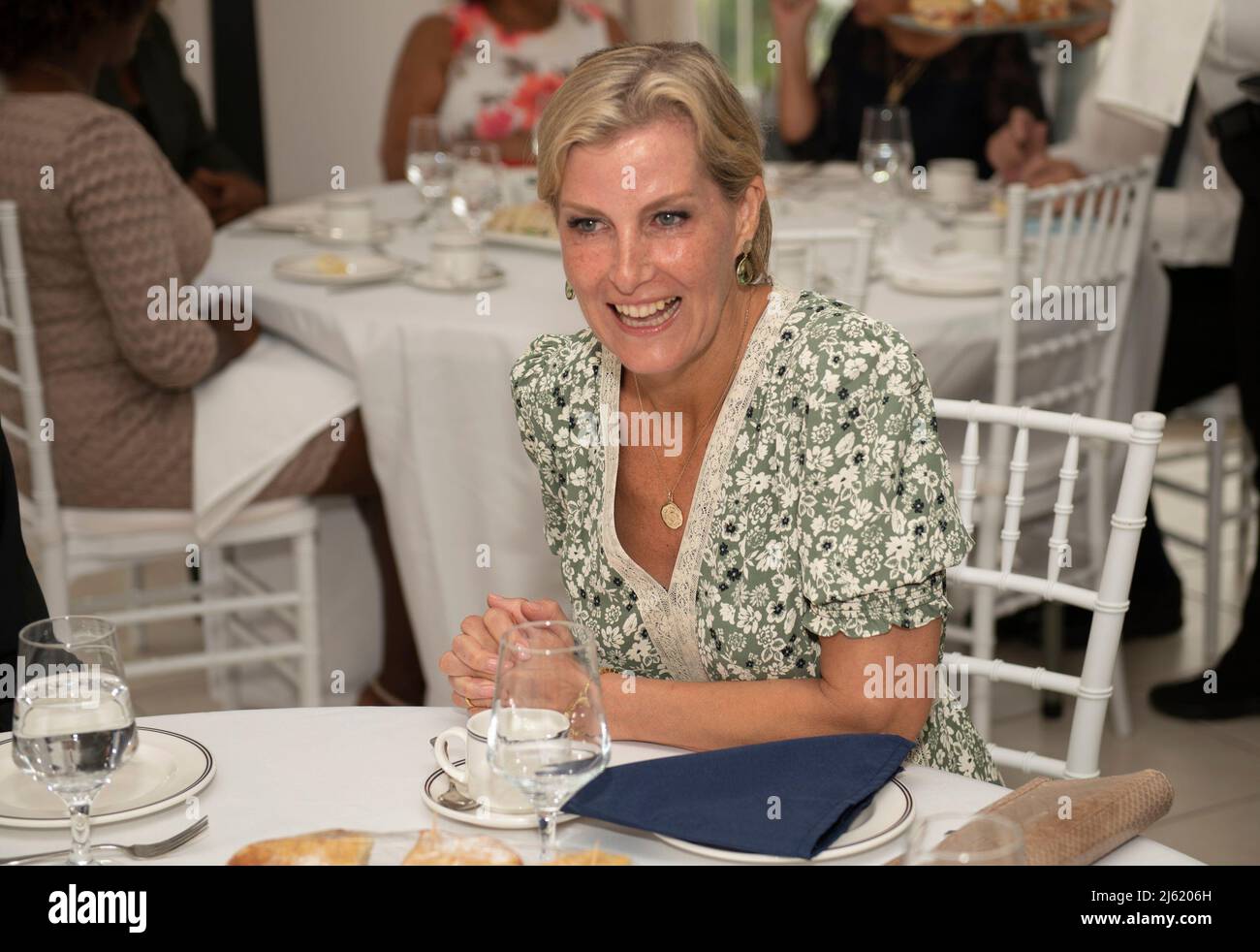 The Countess of Wessex meets World War Two veterans at the British High ...