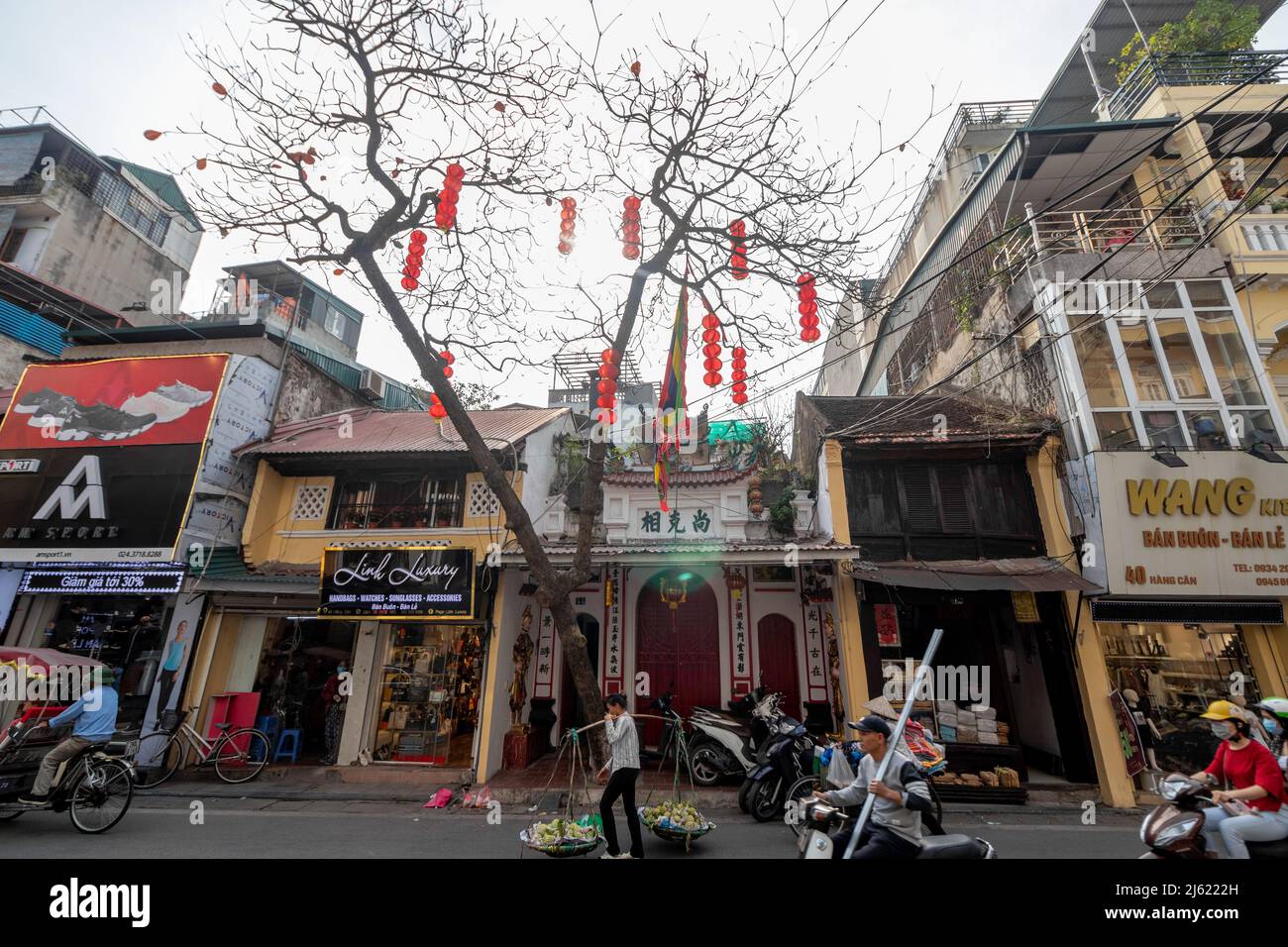 Old tree in vietnam hi-res stock photography and images - Alamy