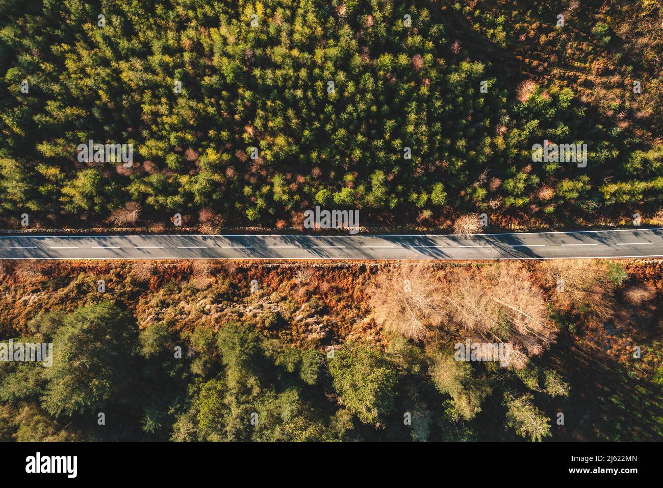 UK, Wales, Aerial view of highway stretching across autumn landscape of ...