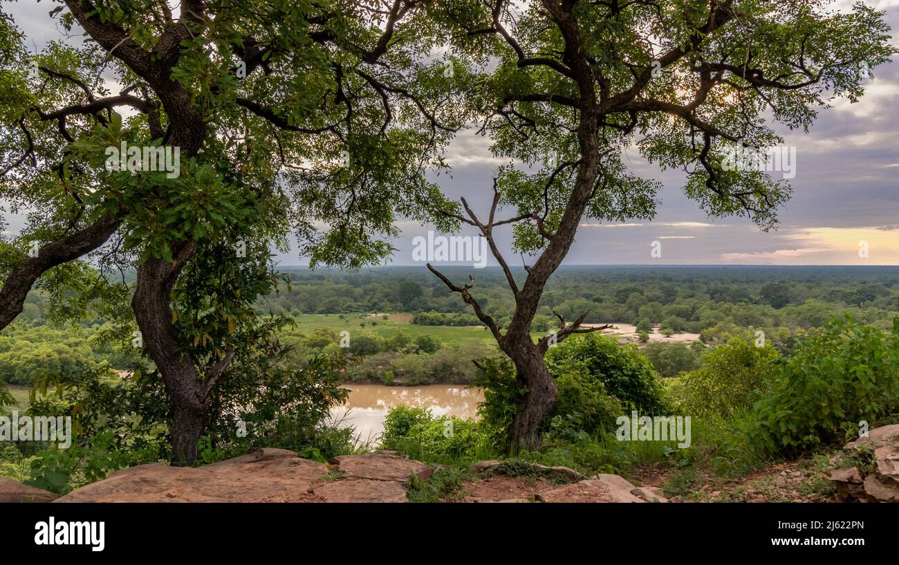View from the Mole Motel in the Mole National Park Stock Photo - Alamy