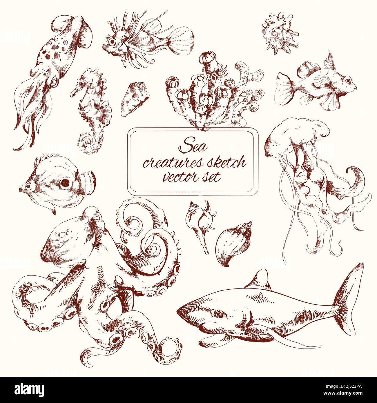 Sea creatures sketch decorative icons set isolated vector illustration ...