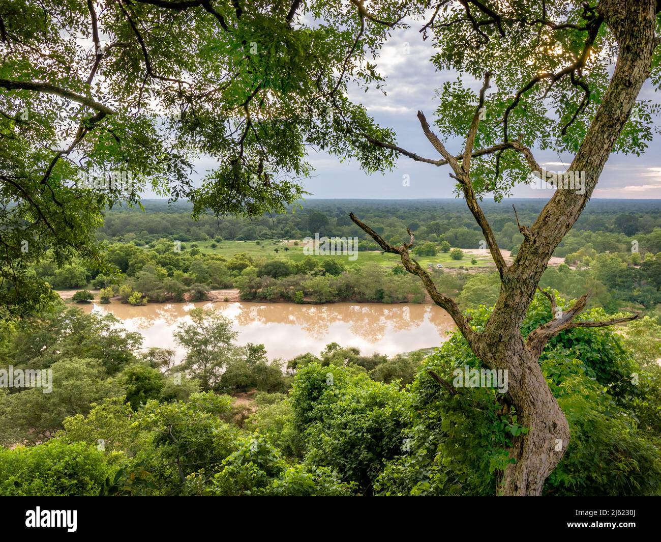 View from the Mole Motel in the Mole National Park Stock Photo - Alamy