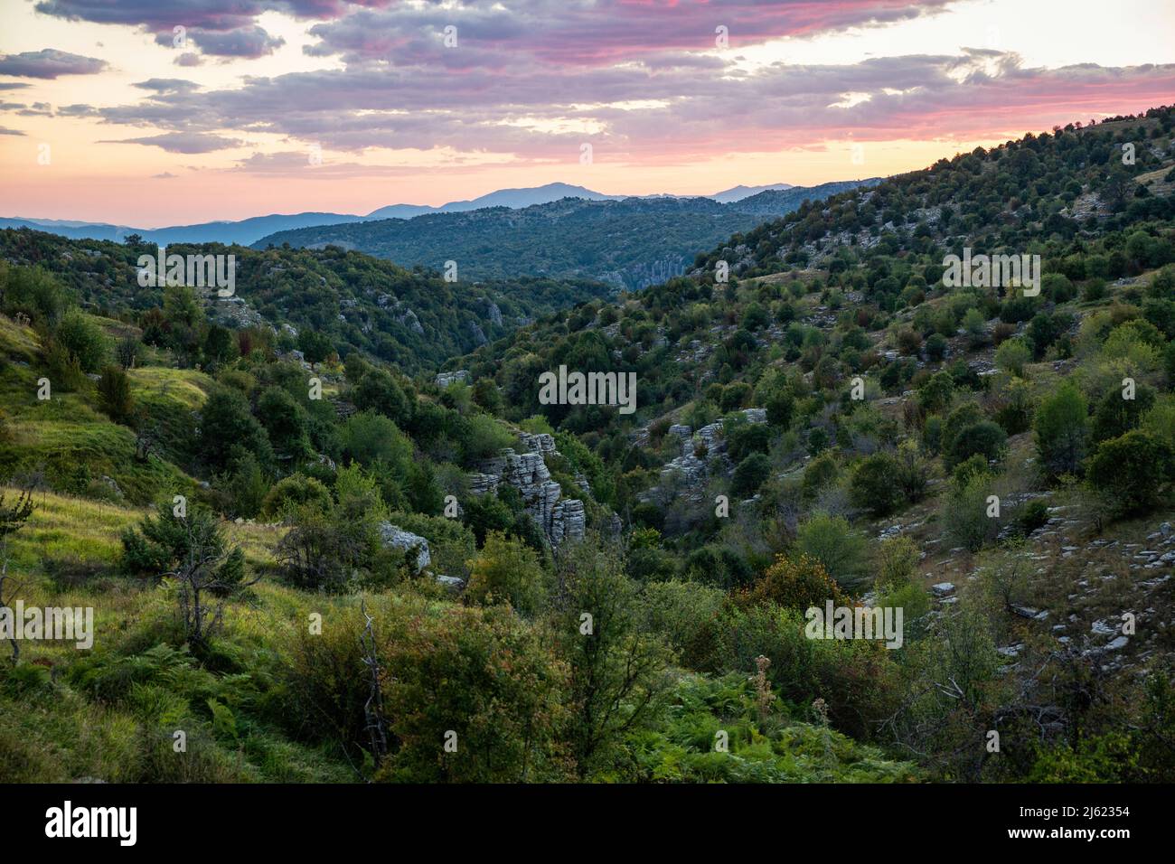 Greece, Epirus, Green flora covering hills in Vikos-Aoos National Park ...