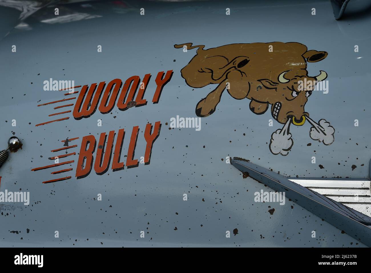 Wooly bully hi-res stock photography and images - Alamy