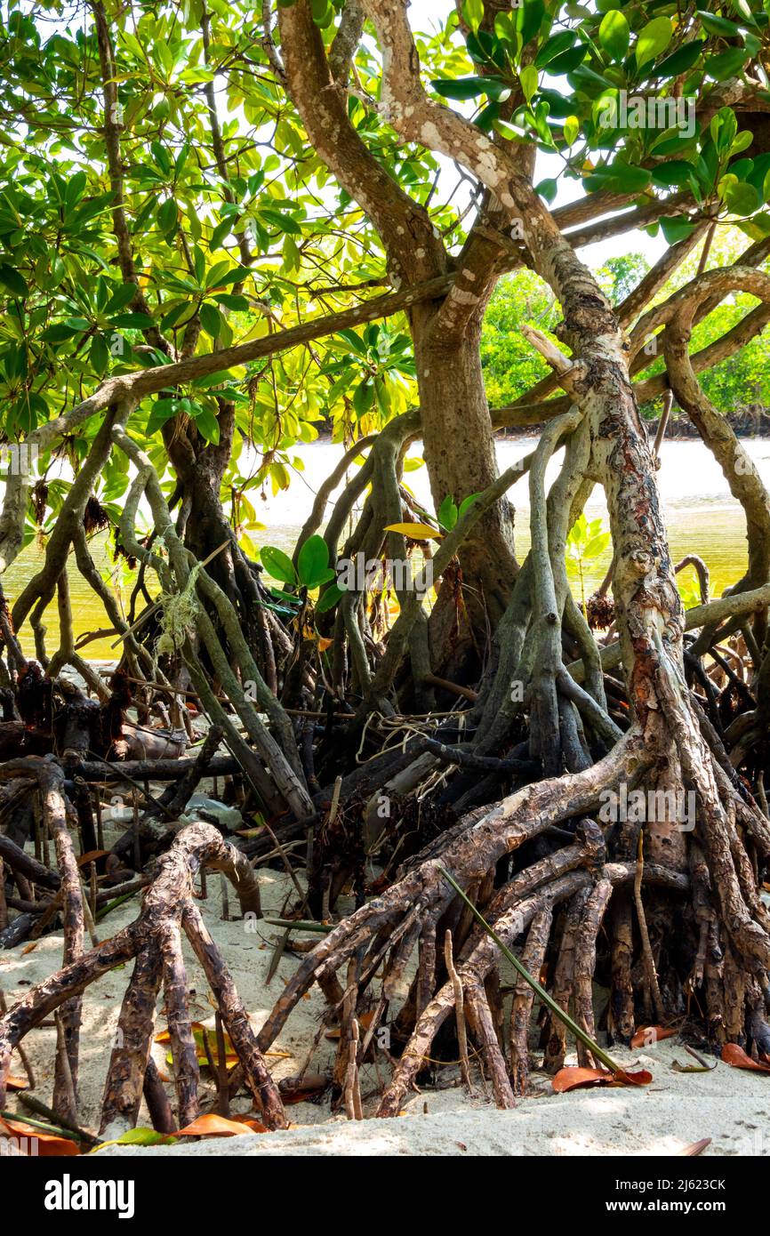 African beach hi-res stock photography and images - Alamy