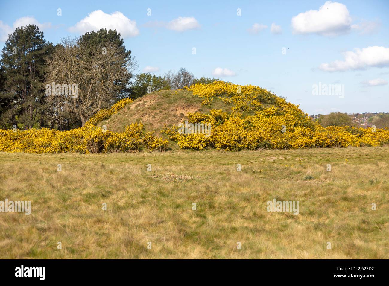Anglo-Saxon royal burial ground, Sutton Hoo, Suffolk, England, UK ...