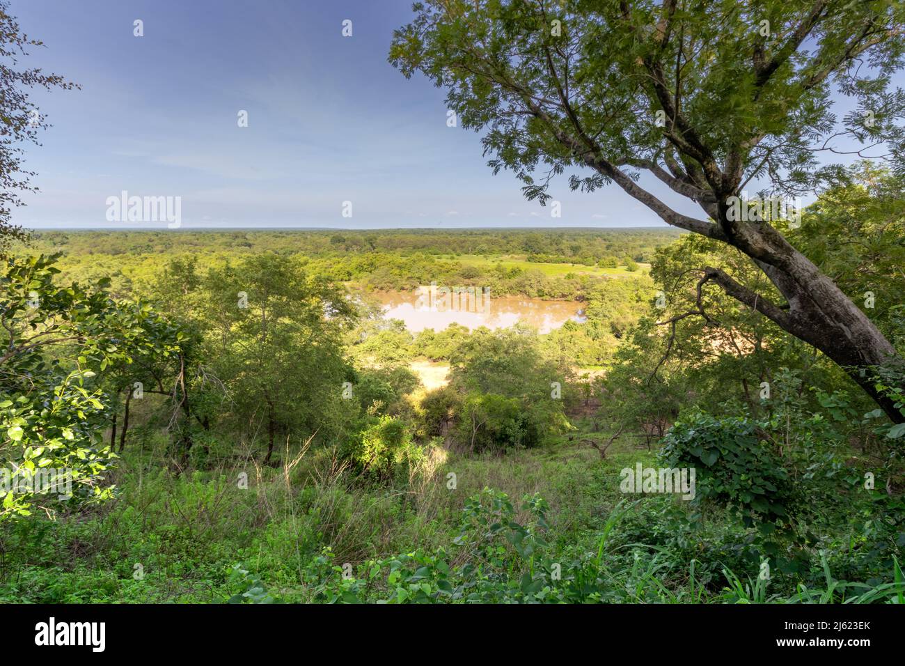 Mole National Park, Ghana Stock Photo - Alamy