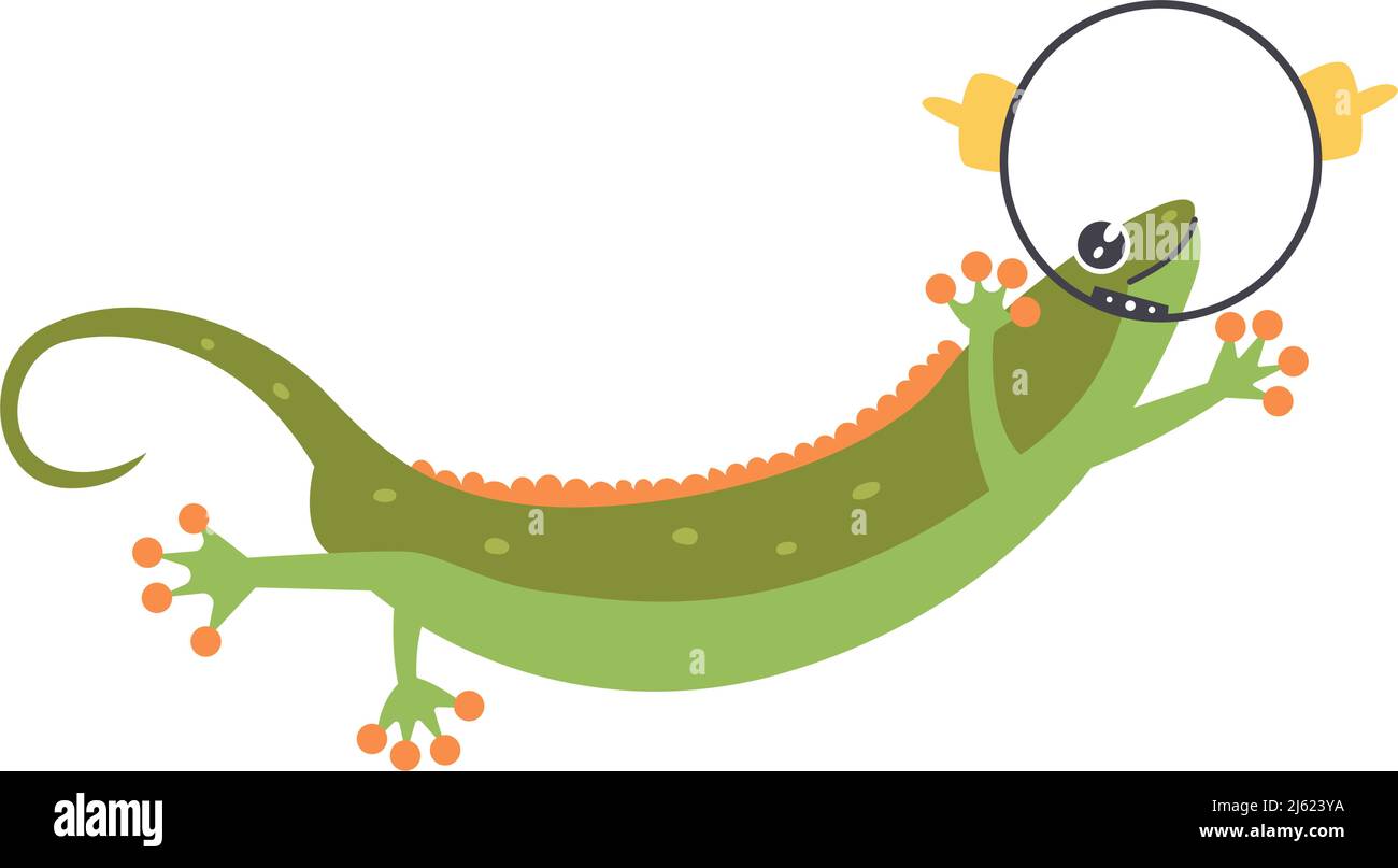 Galaxy zoo hi-res stock photography and images - Alamy