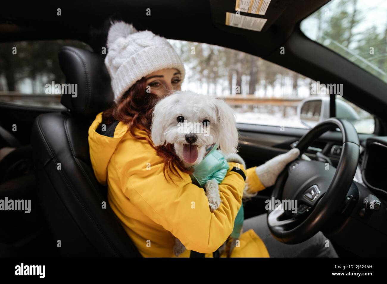 Are Dogs Allowed In The Drivers Seat While Driving