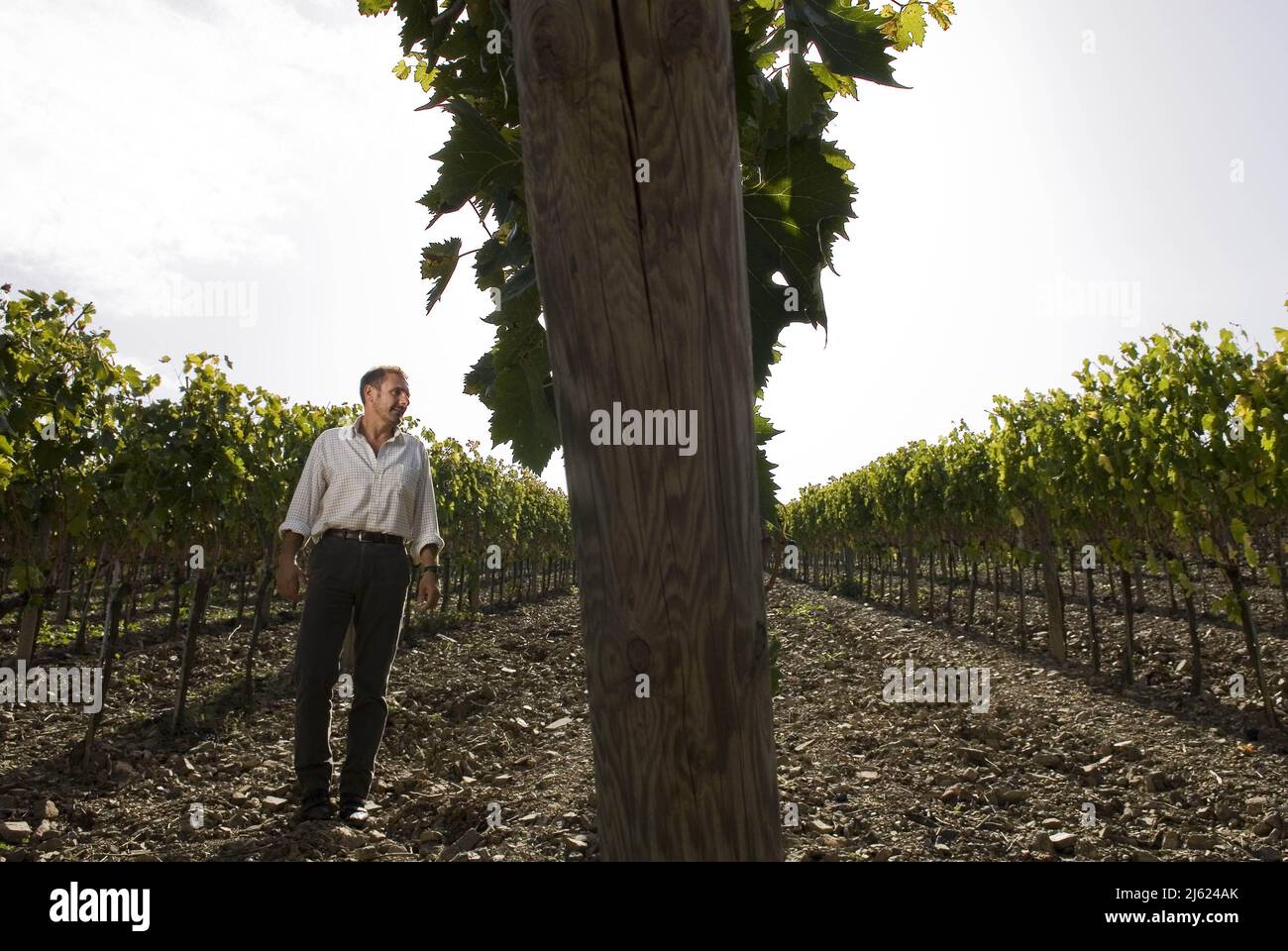 Tuscan winemakers hi-res stock photography and images - Alamy