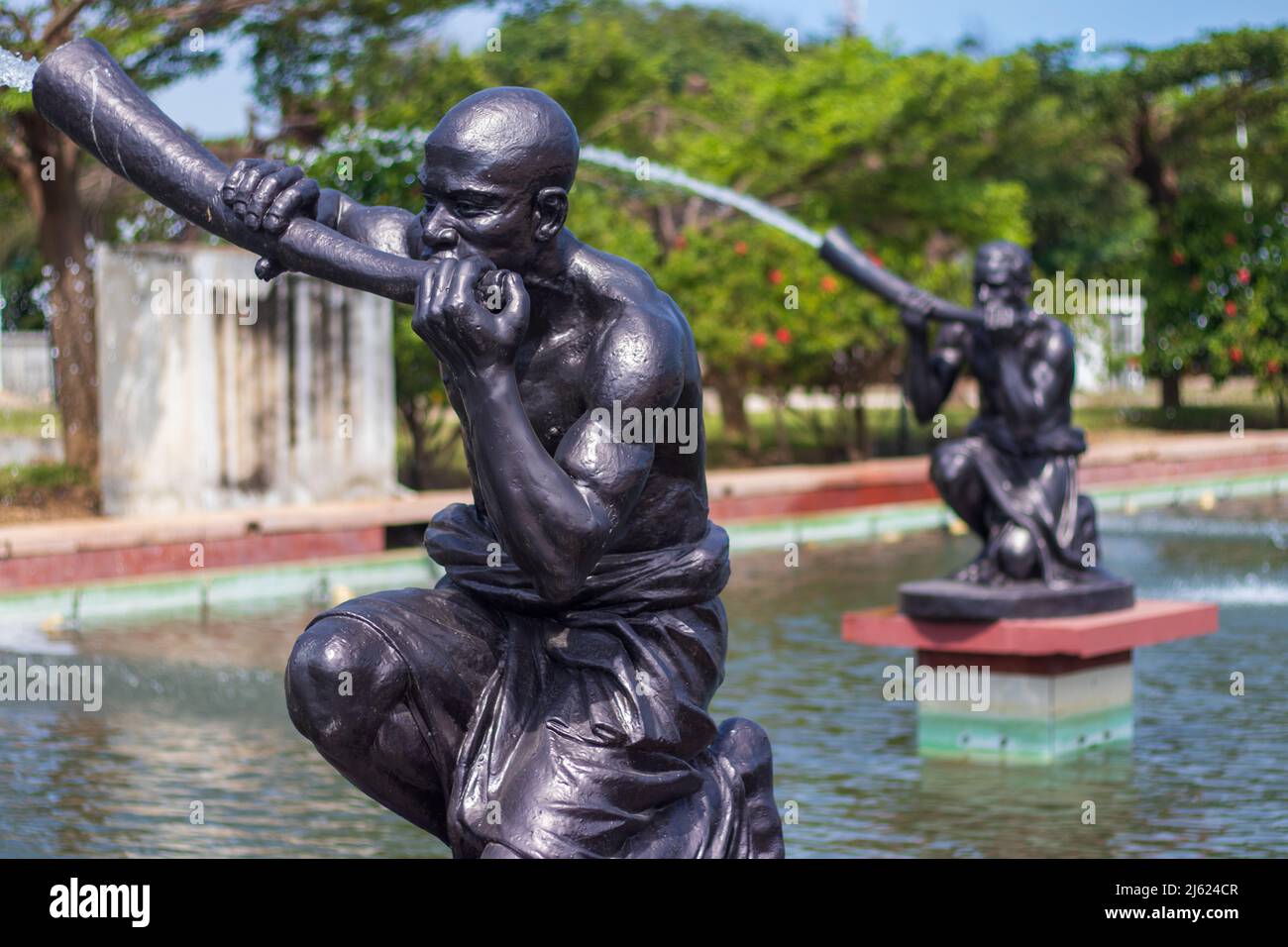 African fountain grass hi-res stock photography and images - Alamy