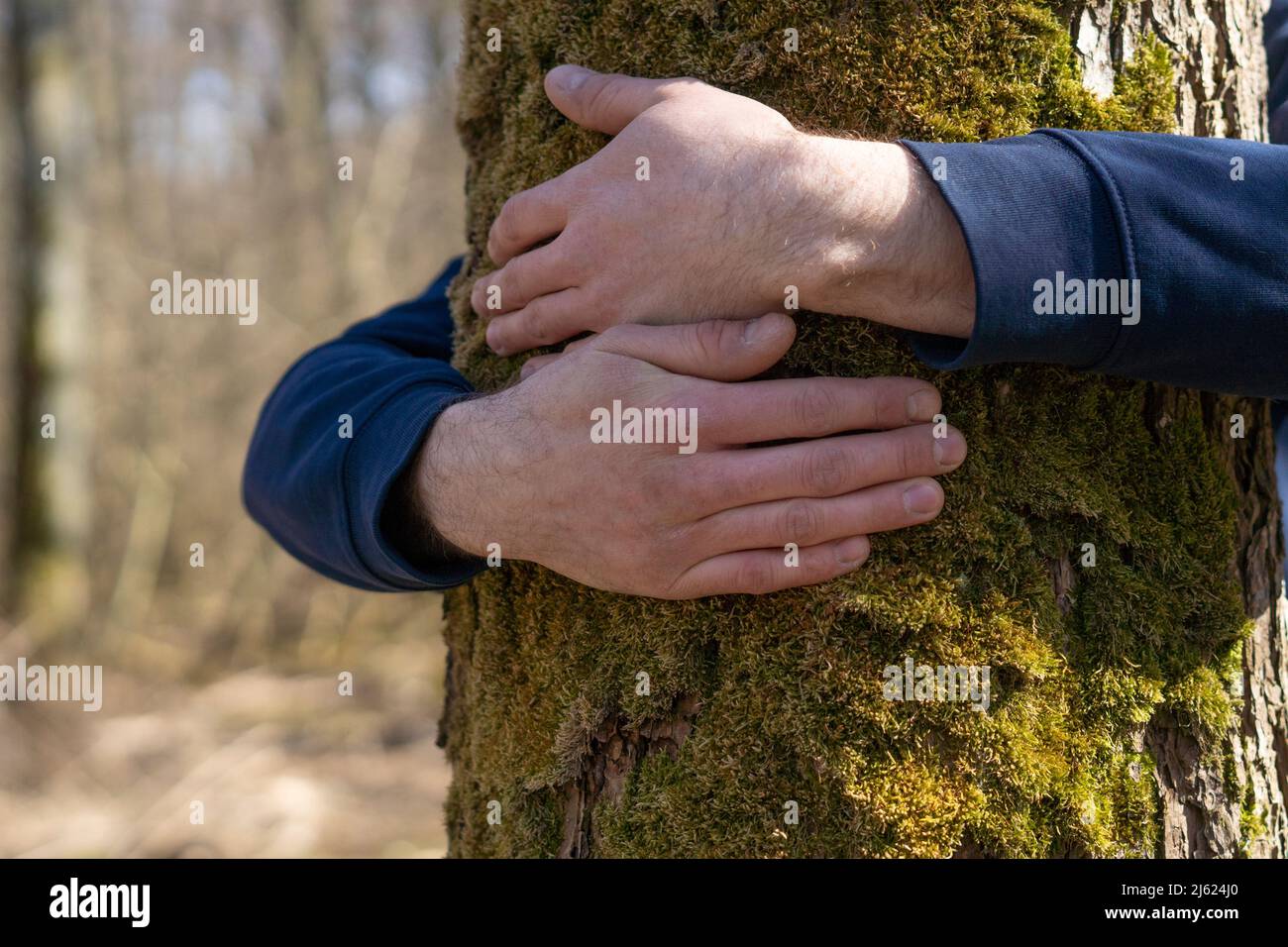 Hands of young man hugging tree on sunny day Stock Photo - Alamy