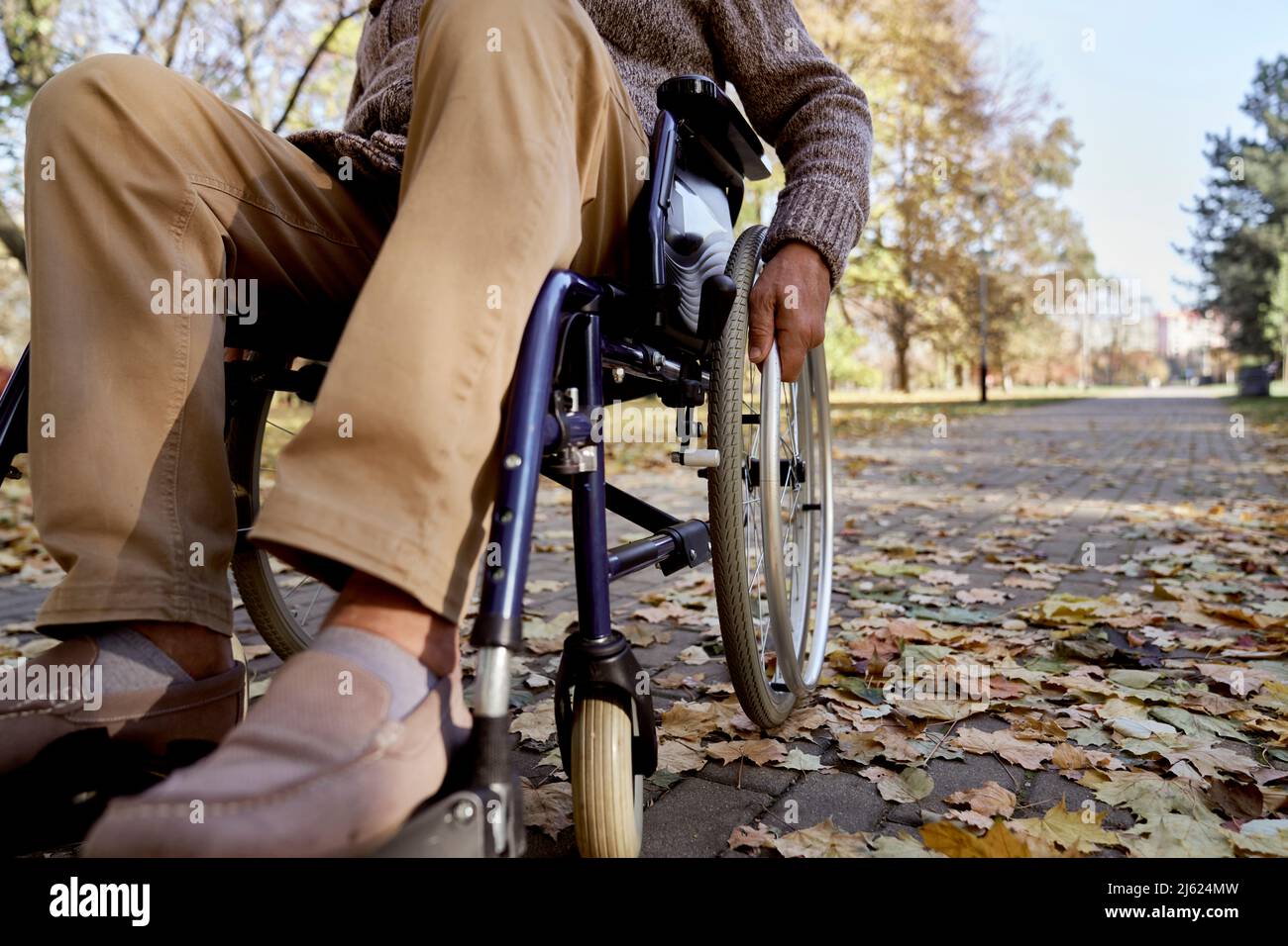 Disabled senior man sitting in wheelchair at autumn park Stock Photo ...