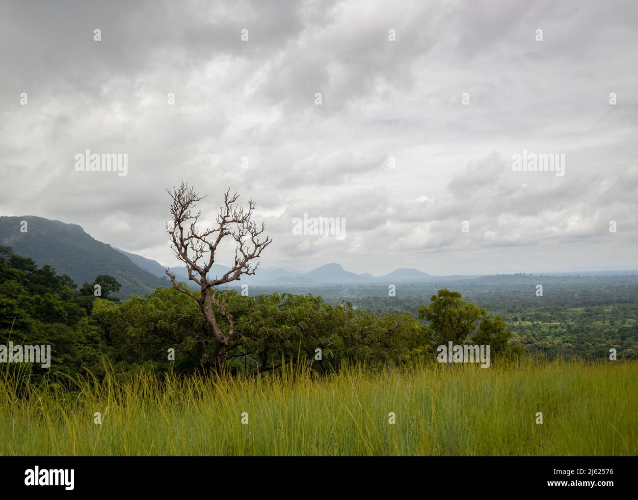 Tropical mountain region hi-res stock photography and images - Alamy