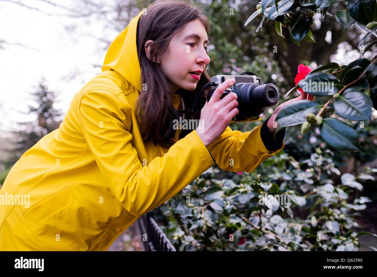 Camera photographing flower hi-res stock photography and images - Alamy