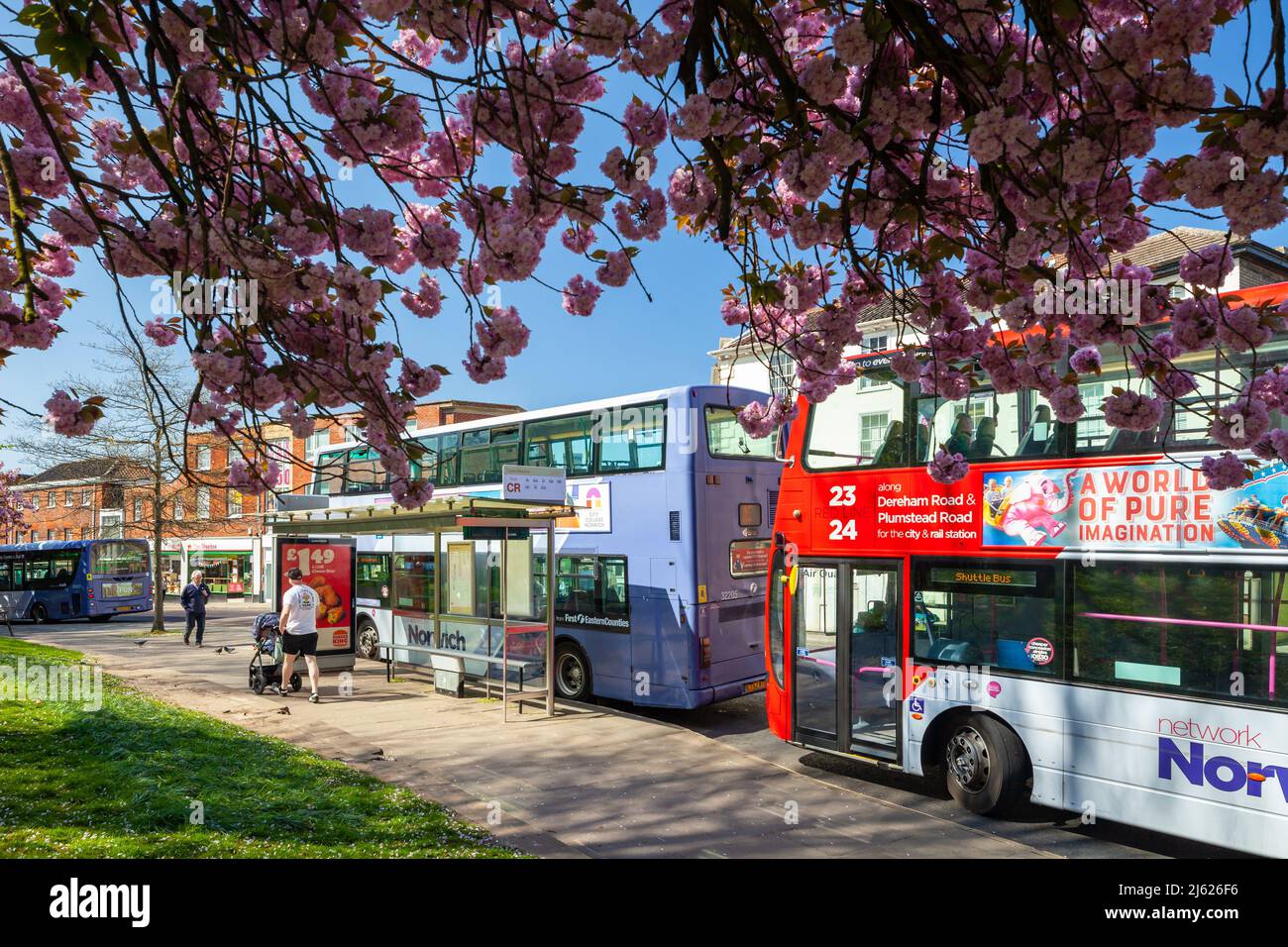 Double-decker buses in Norwich city centre, Norfolk, England Stock ...