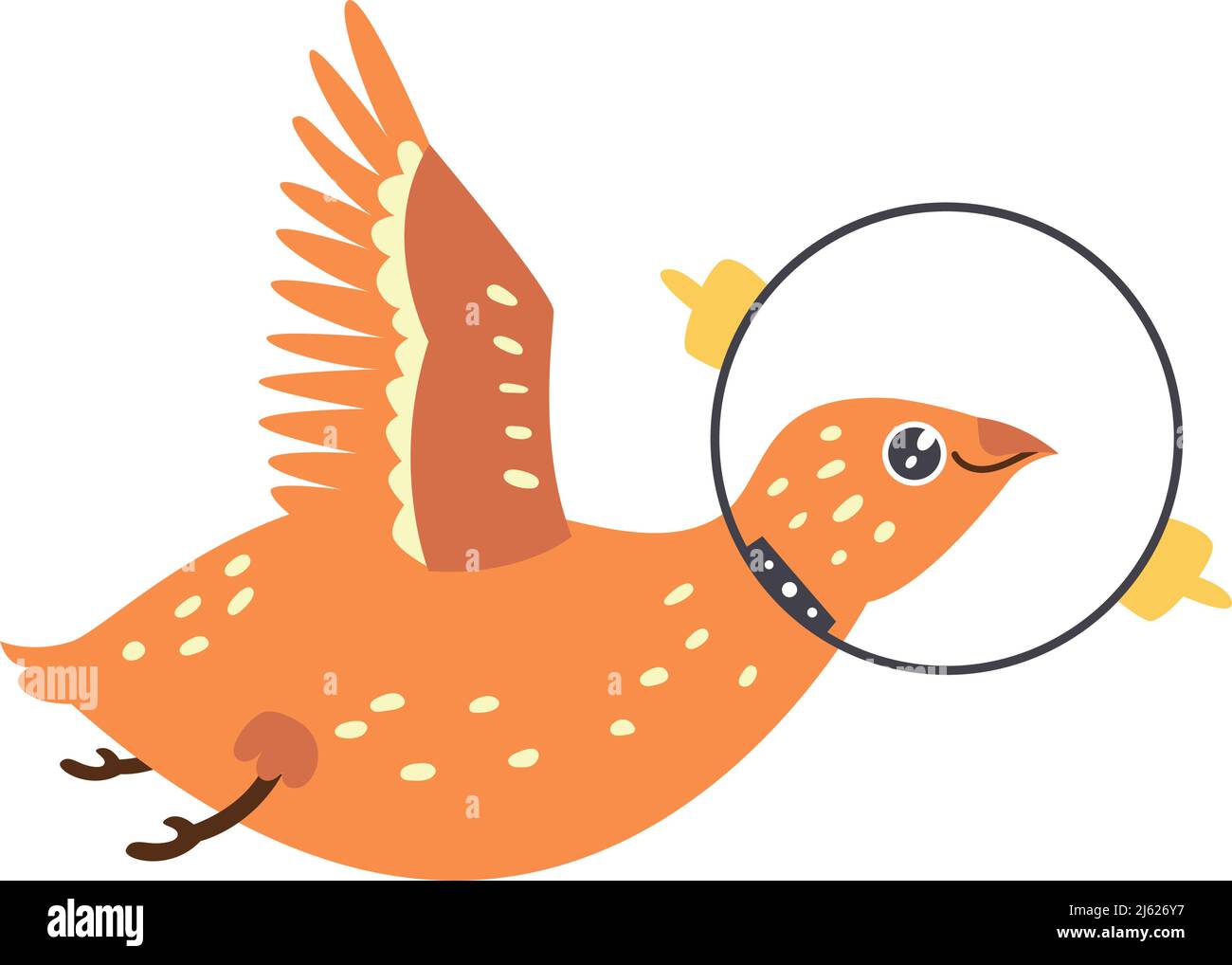 Starfall vector vectors hi-res stock photography and images - Alamy