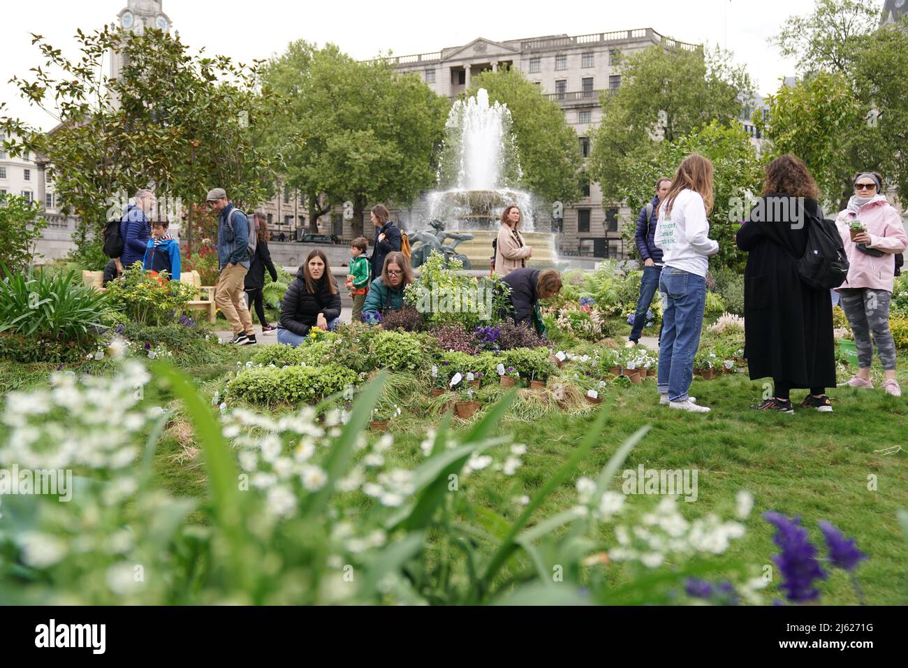 Trafalgar Square in central London is covered in plants and flowers at ...