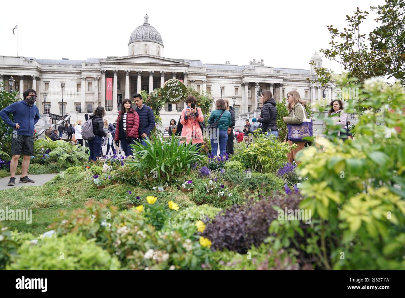 Trafalgar Square in central London is covered in plants and flowers at ...