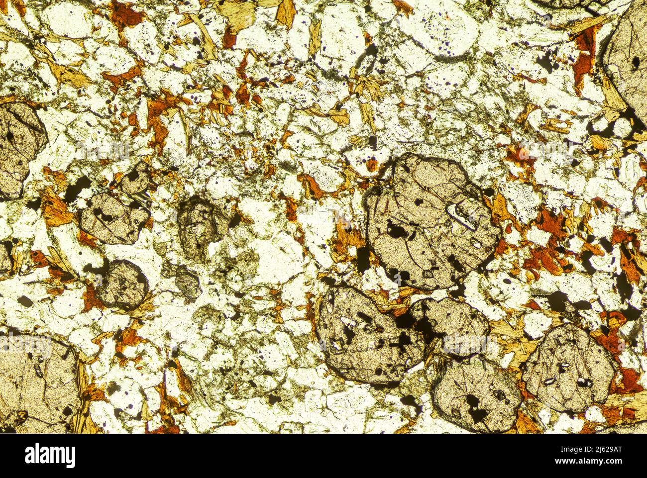 Garnet for Saxony - microscope slide in white light Stock Photo - Alamy