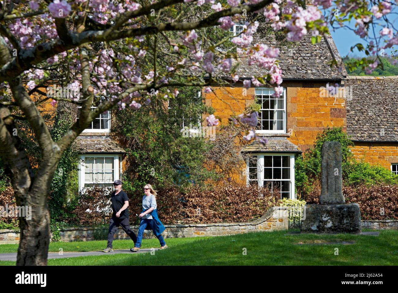 Rutland village tree uk hi-res stock photography and images - Alamy