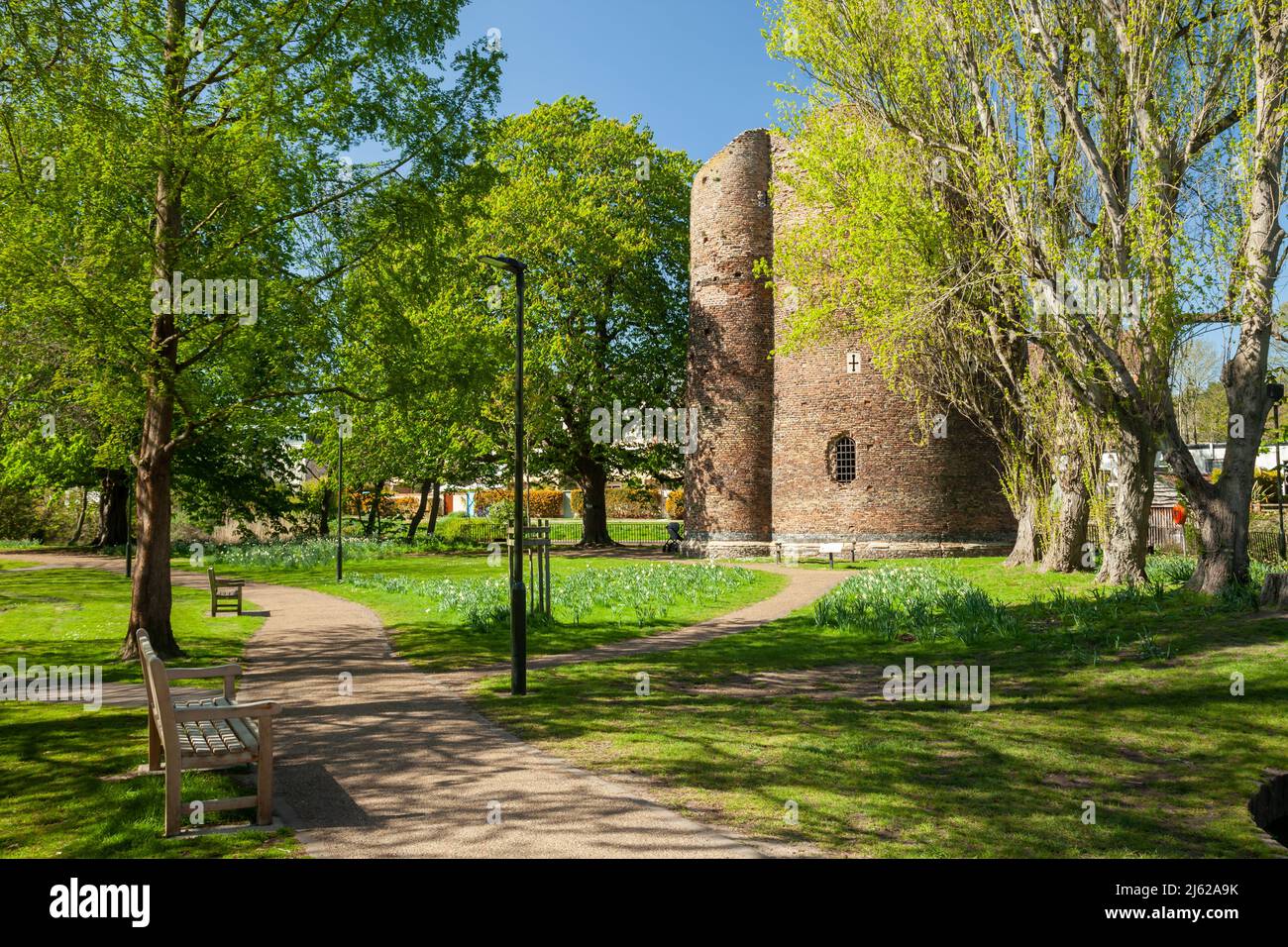 Spring day at Cow Tower in Norwich, Norfolk, England Stock Photo - Alamy