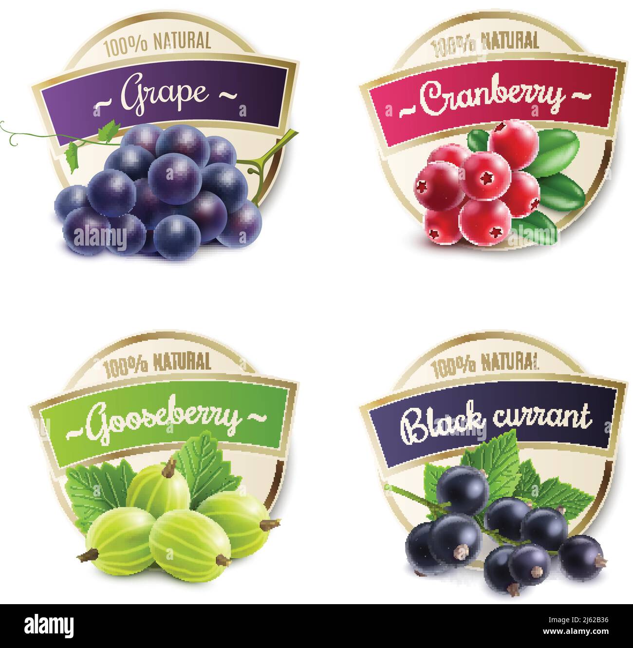 Collection grape vector vectors hi-res stock photography and images - Alamy