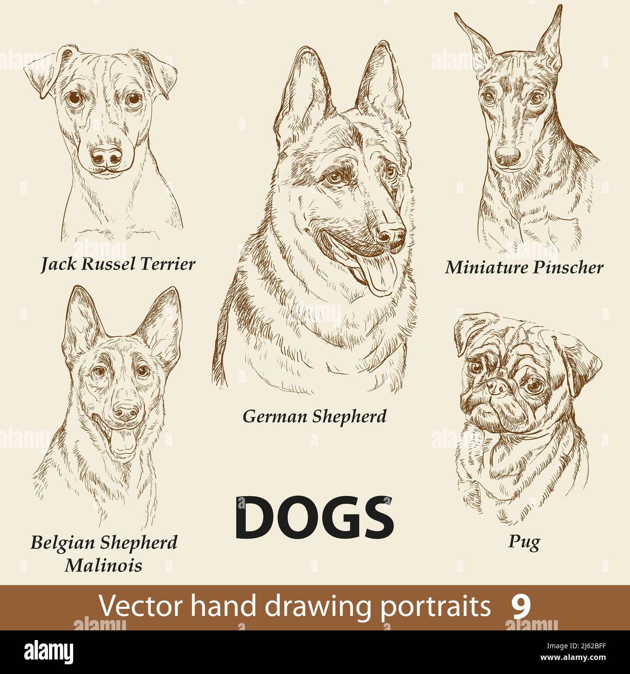 Hand drawing set of a cute dogs breeds part 9. Dogs head isolated on ...