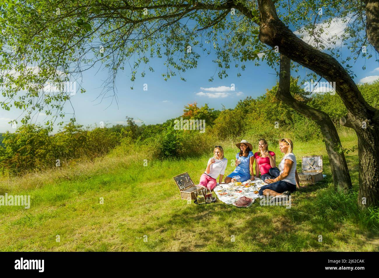 Picnic friends summer hi-res stock photography and images - Alamy
