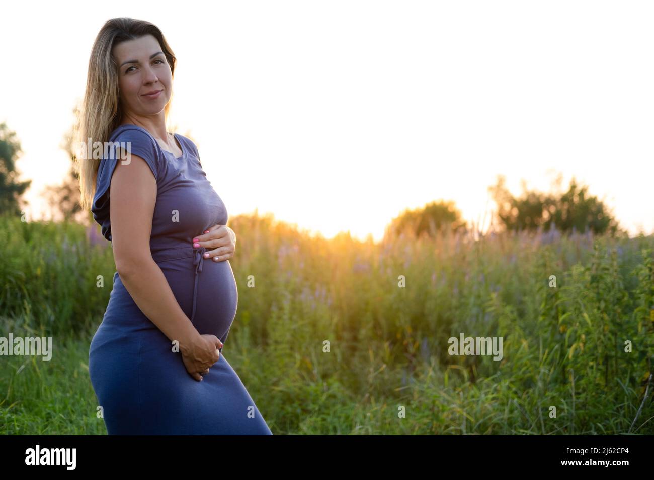 mother to be. pregnancy portrait. beautiful brunette pregnant female ...