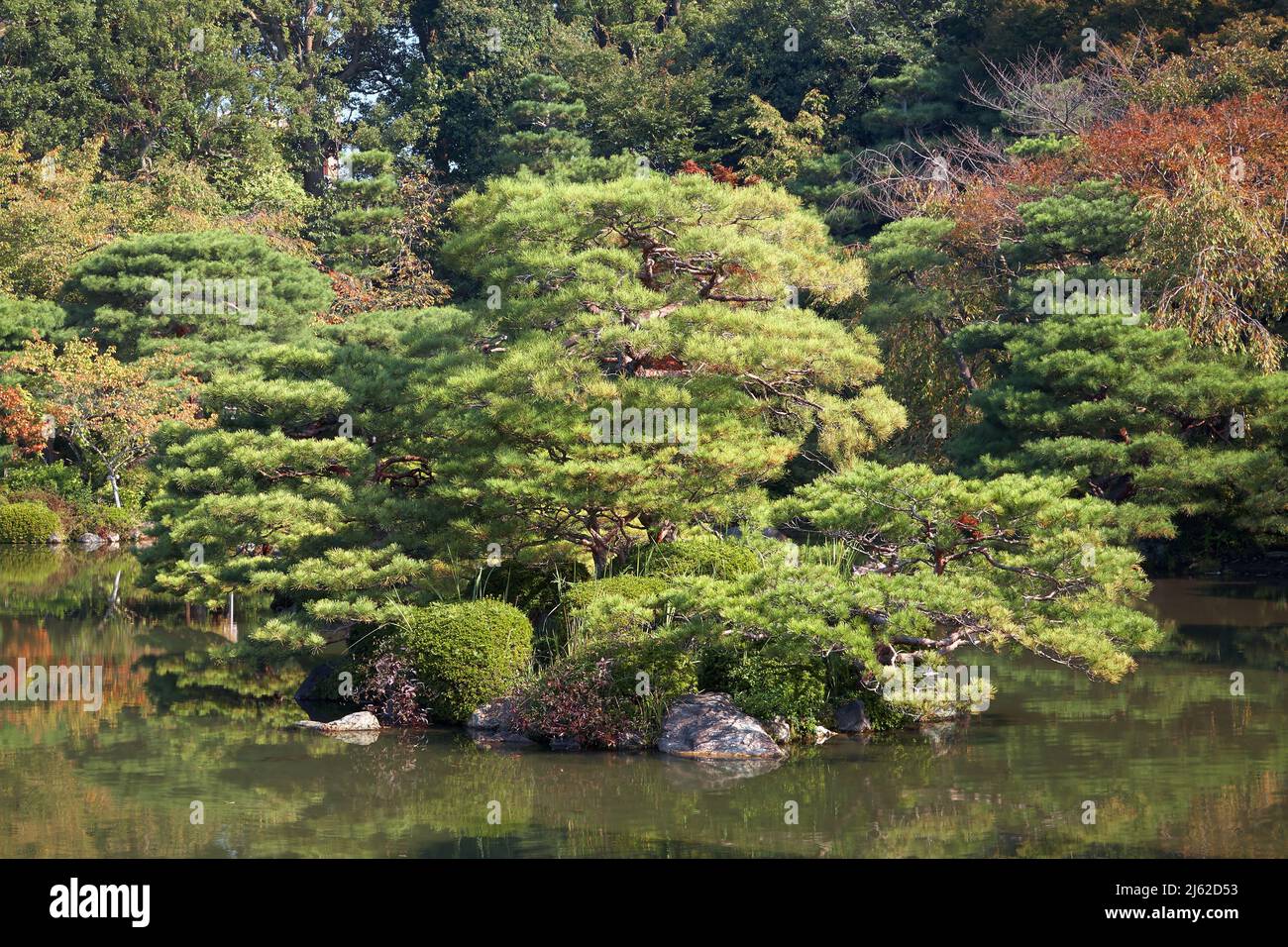 The autumn colored trees reflecting in the water of the Kyoko-chi ...
