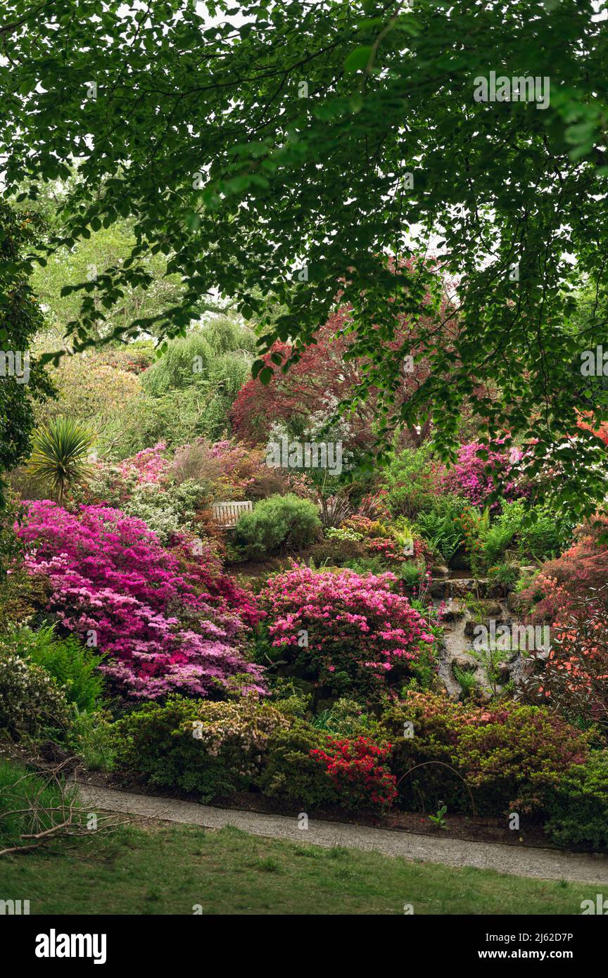 Garden with blooming trees during spring time Stock Photo - Alamy