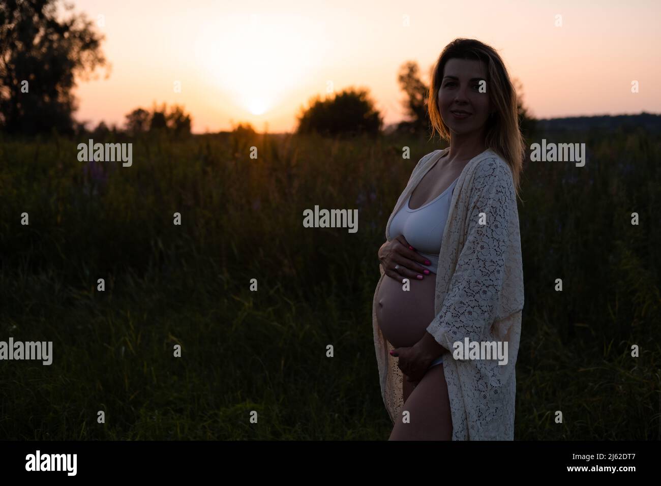 mother to be. pregnancy portrait. beautiful brunette pregnant female ...