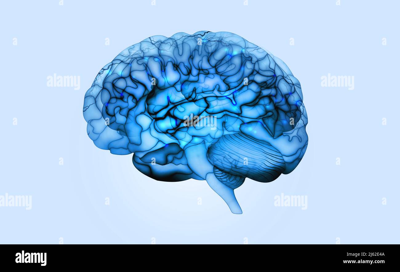 Brainstorm. Human brain 3D illustration. Contrast scan, X-ray ...