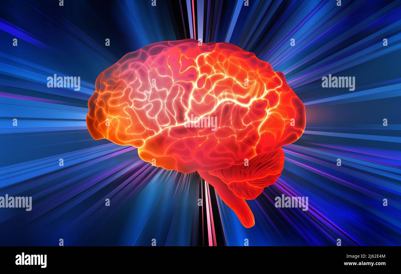 Human brain. Neural network. Computer mind. Modern design concept on ...